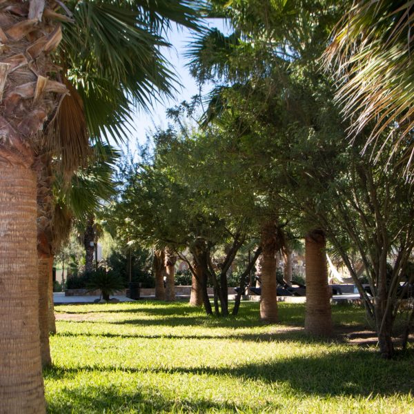 Pueblo Maya – Centro Recreativo Los Faisanes